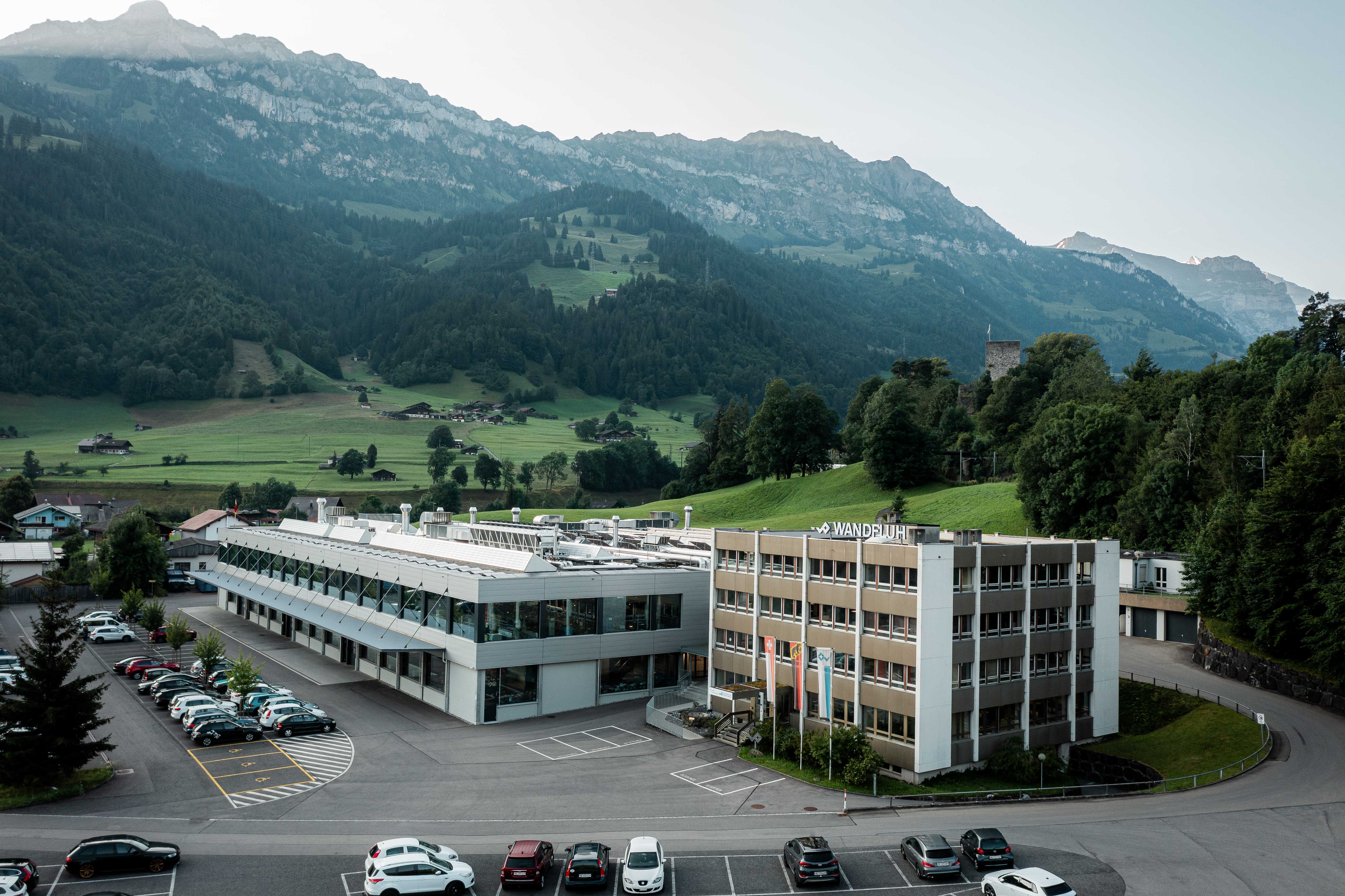 Wandfluh companies |Close to our customers